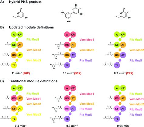 Hybrid Polyketide Synthases Constructed Using Both The Updated And The