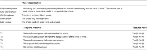 Frontiers Temporal Spatial Feature Extraction Of Dsa Video And Its