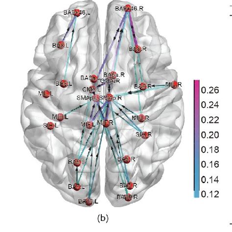 An Example Of Directed Eeg Functional Connectivity Patterns Between A