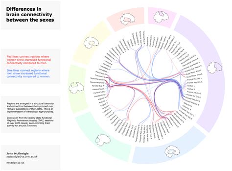 Functional Connectivity Differences Between The Sexes Visualised Using
