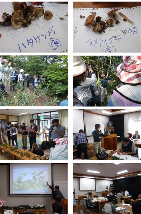 しまね森林活動サポートセンター 森林技術ボランティア活動 令和4年度島根県森林インストラクター養成講座②（2022年10月15日、16日）