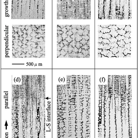 Unidirectional Solidification Microstructure Paralleled To Growth