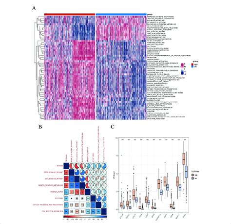 A Heatmap Showed The Enrichment Of Gsva Analysis The Enrichment