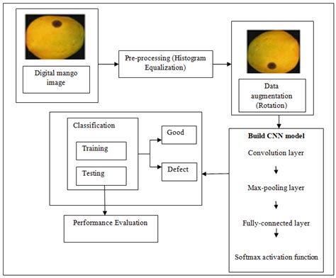 Computer Vision System For Mango Fruit Defect Detection Using Deep
