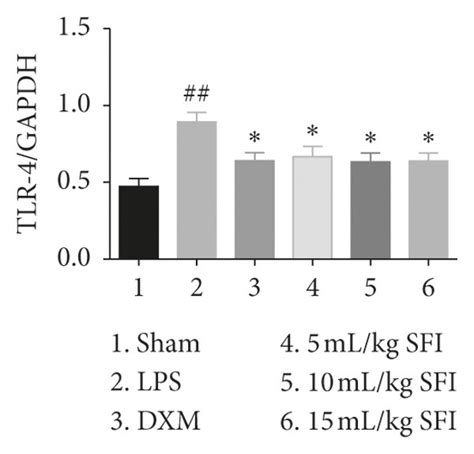 Sfi Inhibits The Expression Of Hmgb1 Nf κb Pathway Related Proteins In