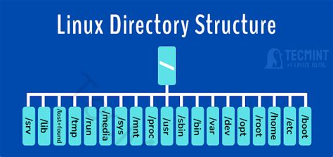 Understanding Linux Directory Structure And Important Files