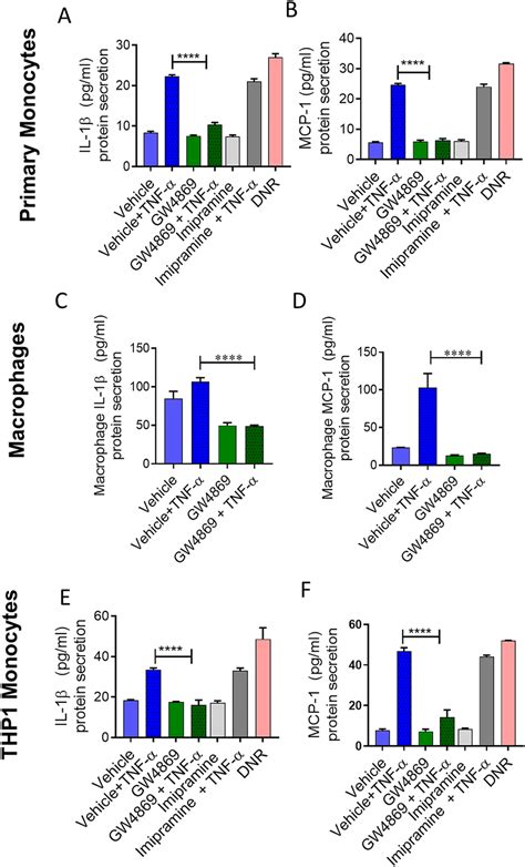 Il 1β And Mcp 1 Secreted By Tnf α Activated Monocytes Are Suppressed By