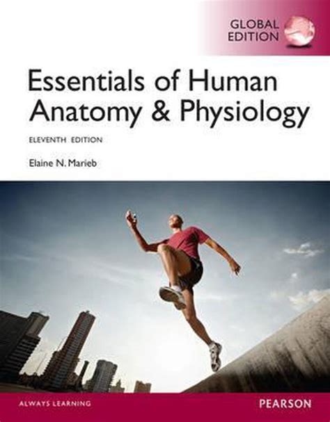 Essentials Of Human Anatomy And Physiology With Masteringaandp Global