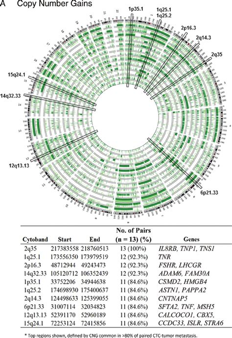 Summary Of Genome Wide Snp Based Analysis Of Paired Melanoma Ctc And