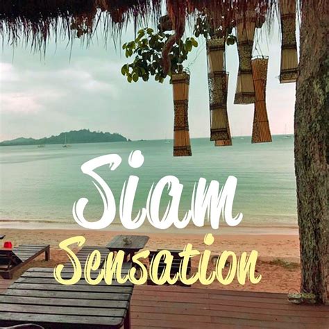 Siam Sensation Thai Massage Updated Jun 2024 106 Photos And 64