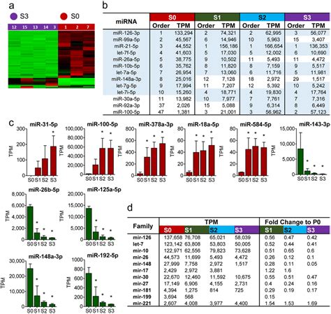 most abundant mirnas and mirna families a heat map showing