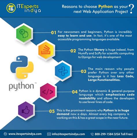 reasons to choose python as your next web project web