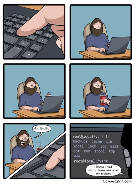 developer looking for ls computer humor programmer jokes
