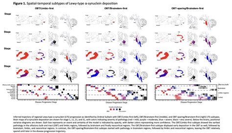 Uncovering Distinct Spatial‐temporal Trajectories Of Lewy‐type α