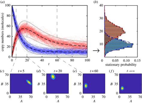 Simulation And Inference Algorithms For Stochastic Biochemical Reaction
