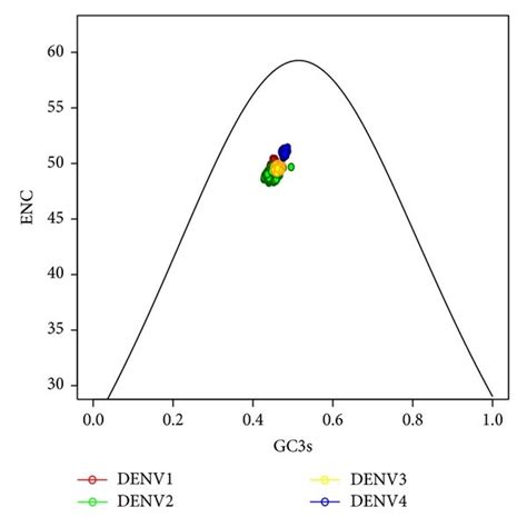 Effective Number Of Codons Versus Gc3s Plot Of Genomes Of Denv1 4 A