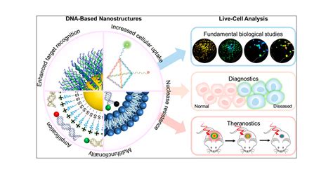 Dna Based Nanostructures For Live Cell Analysis Journal Of The