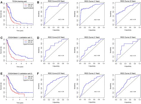Development And Validation Of A Nomogram With An Autophagy Related Gene