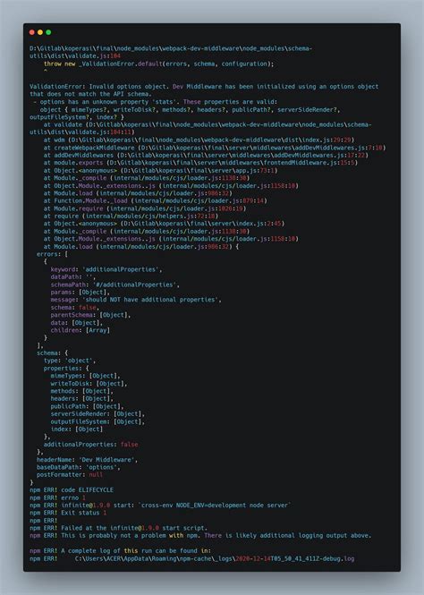 javascript validationerror invalid options object dev