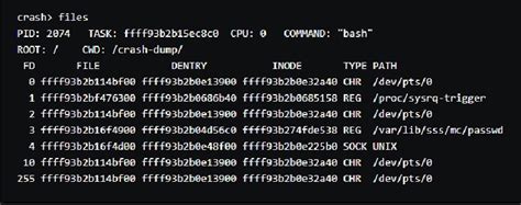 troubleshoot linux kernel panic with the kdump crash tool