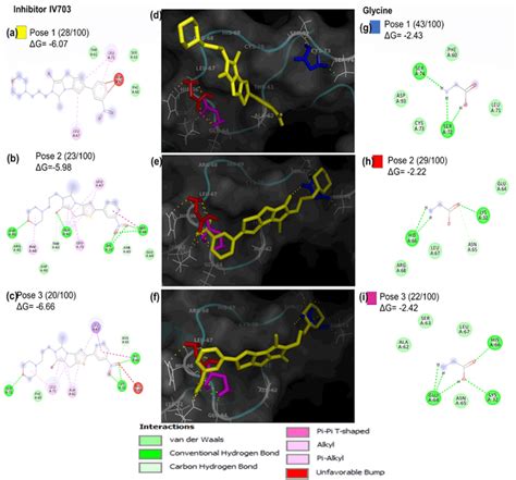 Docked Complex In 2d And 3d Interactions In The Inhibition Site Of