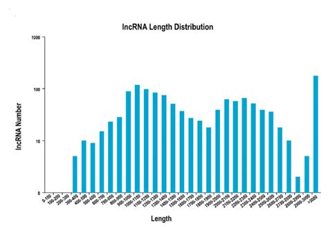 Sequencing 101 Whats The Value Of Sequencing Full Length Rna
