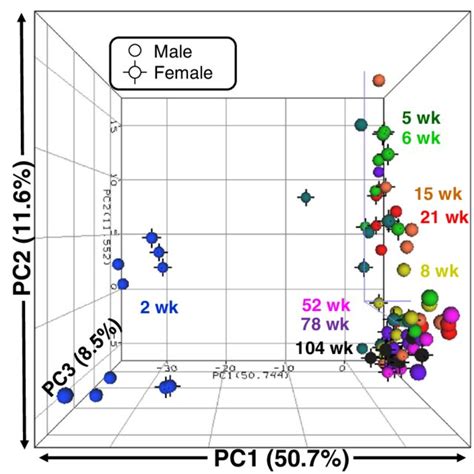 Heatmap Of K Means Cluster Analysis Of 214 Differentially Expressed