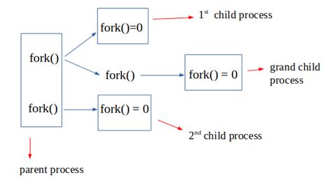 fork to execute processes from bottom to up using wait