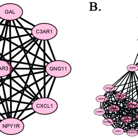Ppi Of The Core Gene Module A The Ppi Of The Most Significant Core