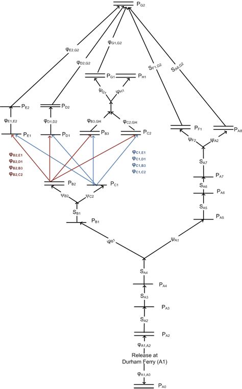 Schematic Of 2012 Mark Recapture Submodel I Single Lines Denote