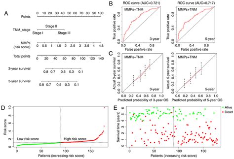 Prediction Model Combining The Mmp Signature And Tnm Stage Information