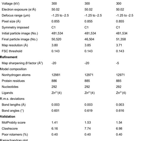 Cryo Em Data Collection Refinement And Validation Statistics