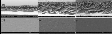 Scanning Electron Micrographs Sem Of Surface And Cross Sections Of