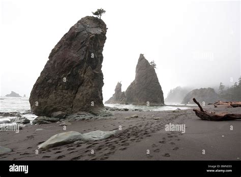 Sea Stacks At Rialto Beach Olympic National Park Washington Stock