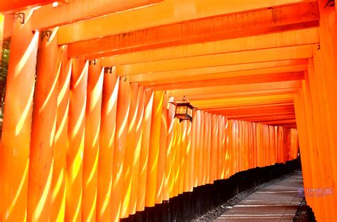 京都伏見稻荷大社京都必訪神社賞楓葉景點推薦16 紫川琪灩 Flickr