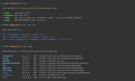 npm meaning in javascript meancro