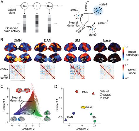 Latent State Space Of The Large Scale Neural Dynamics A Schematic