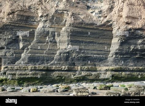 Fossil Bearing Sedimentary Rock Strata Forming Cliffs At Coastal Bay