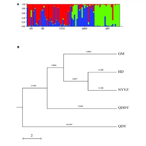 Structure Cluster Analysis Of The Five Populations These Populations