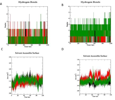 Dynamics Of Intermolecular H Bonds And Solvent Accessible Surface Area