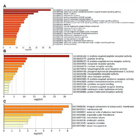 Bar Graph Of Go Gene Function Annotation A Bp B Mf C Cc