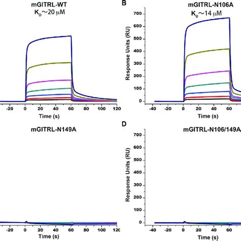 Spr Analysis Of Binding Of Various Mutants Of Mgitrl With Mgitr