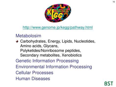 Ppt Microbial Metabolism Databases Of Microbial Metabolism