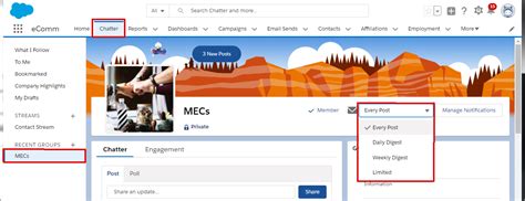 how to setup email notifications in salesforce