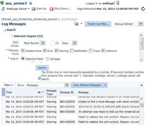 domain server message format dominaon