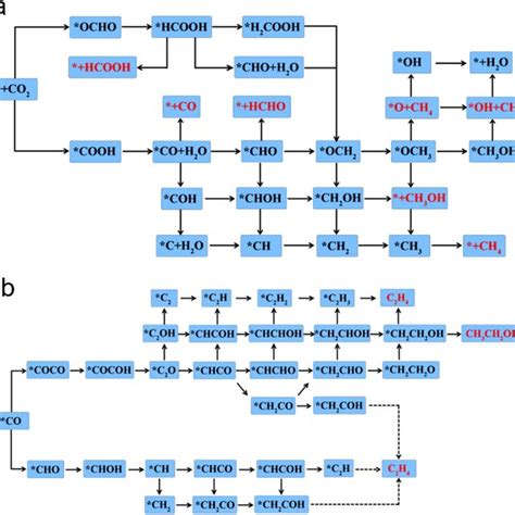 The Eco2rr Reaction Pathways To A C1 Products And B C2 Products On