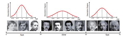 Label Distribution Learning