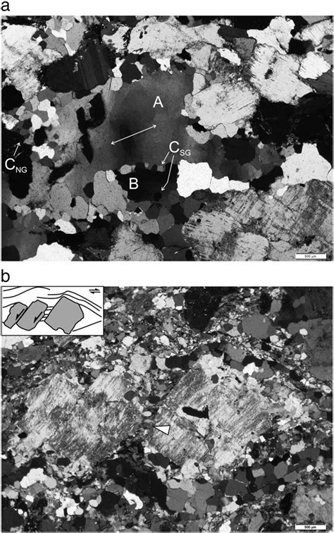 Microstructures Representative Of The Main Moderate Temperature