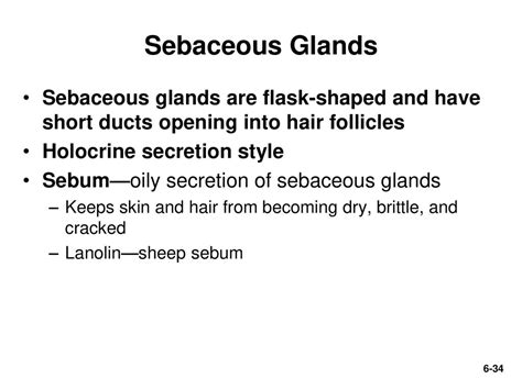 Chapter 06 Lecture Outline Ppt Download