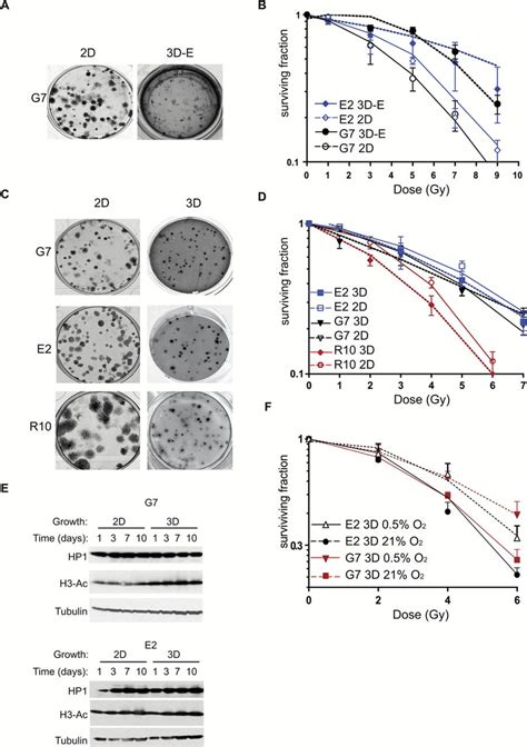 Radiation Responses Of Gsc In 2d And 3d Conditions A C